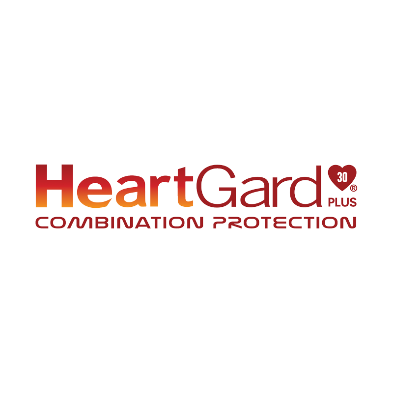 HeartGard Plus Blue Chews for Small Dogs - 6 Pack - Vetwell Online Shop